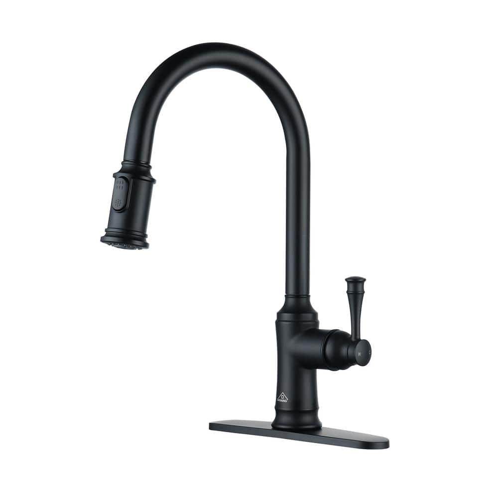 Boyel Living 2-Spray Patterns Single Handle Pull Down Sprayer Kitchen ...