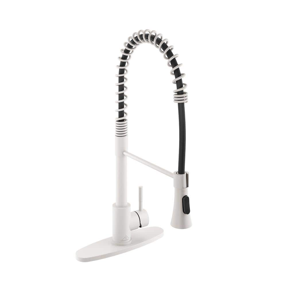 CASAINC Single Handle Spring Standard Kitchen Faucet with Dual-Function ...