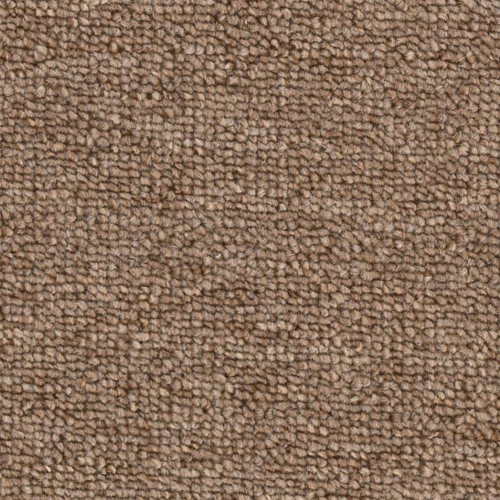 TrafficMaster 8 in. x 8 in. Loop Carpet Sample - Main Rail 26 -Color ...