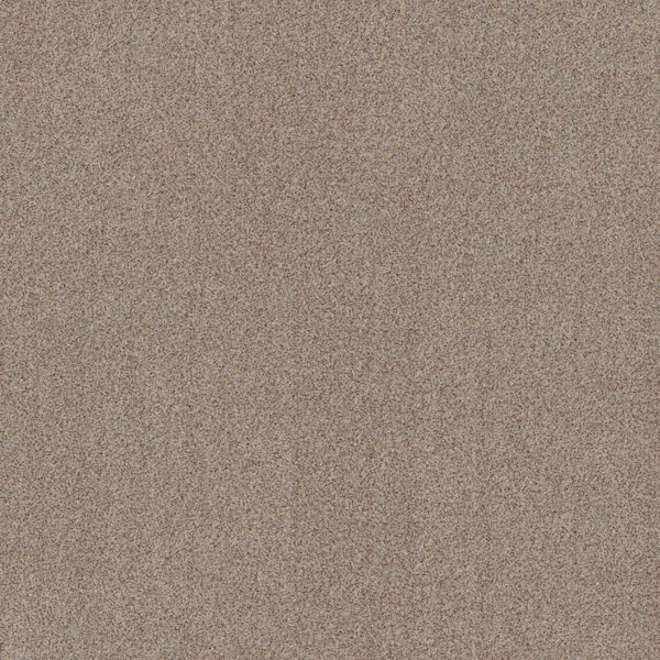 Lifeproof 8 in. x 8 in. Texture Carpet Sample - Sea Pines -Color Charm ...