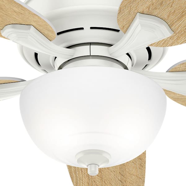 How To Install A Hunter Ceiling Fan With Lights | Shelly Lighting