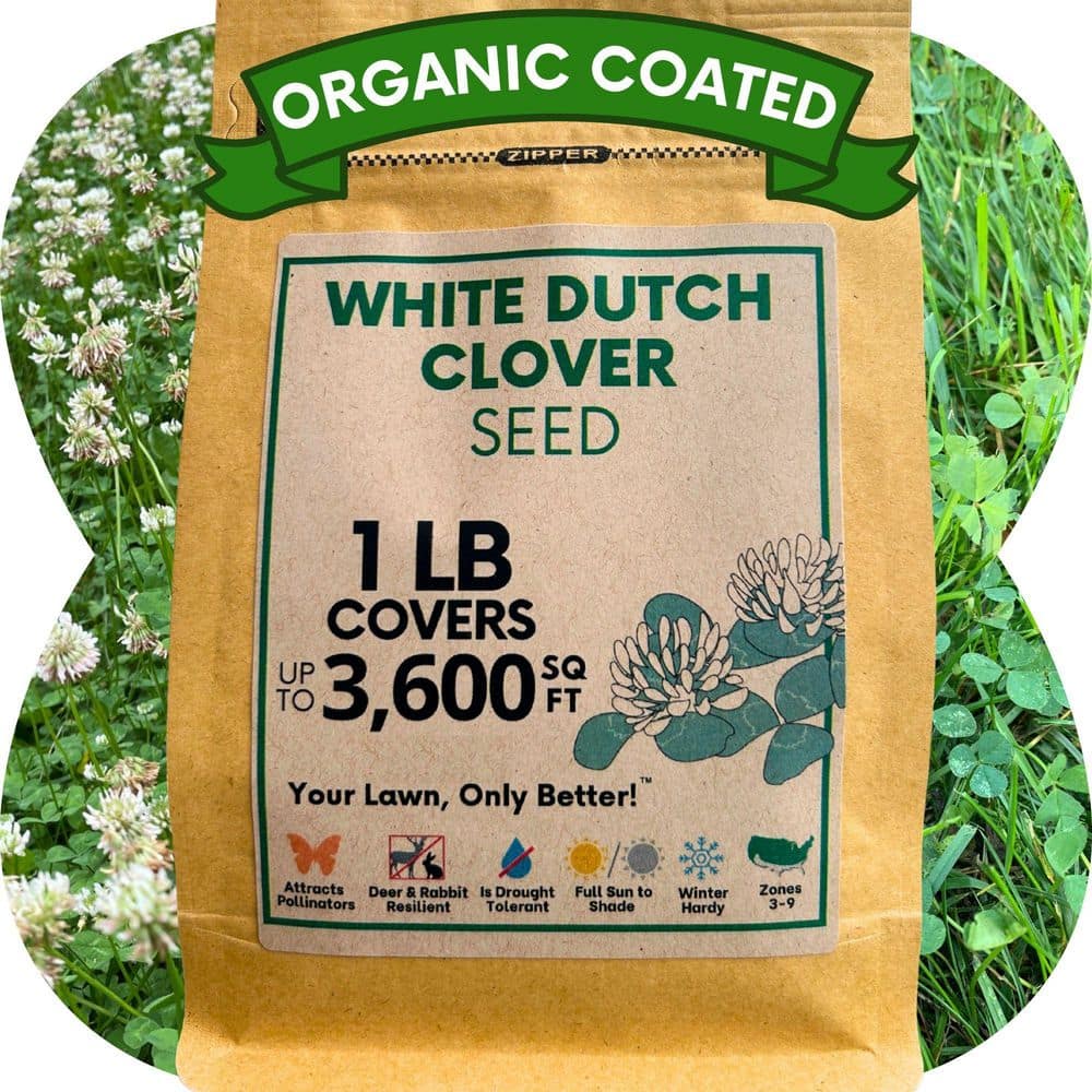 Flawn Seed Kits 1LB White Dutch Clover, Organic Coated, Flowering Lawn ...