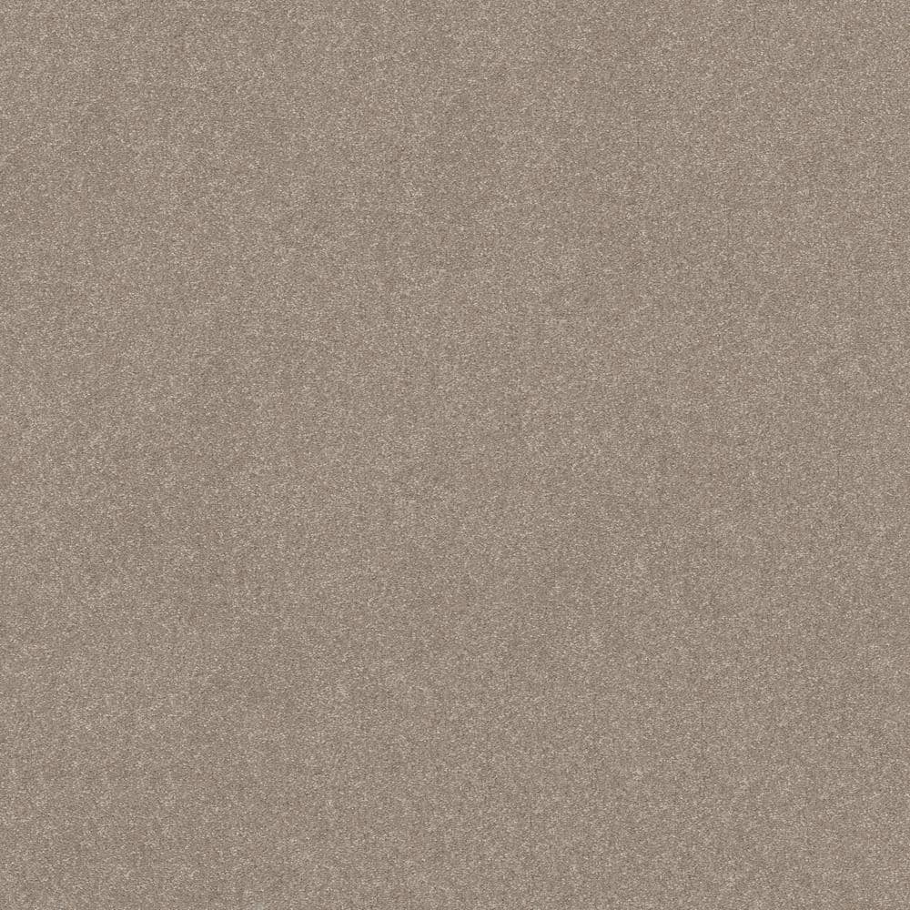 Home Decorators Collection House Party I - Awaken - Beige 15 ft. 37.4 ...