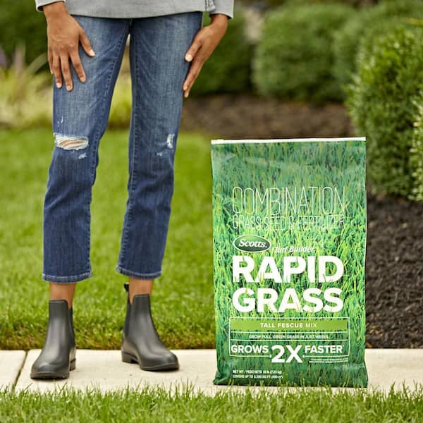 Buy Turf Builder Rapid Grass 16 lb. Tall Fescue Grass Seed Online at ...