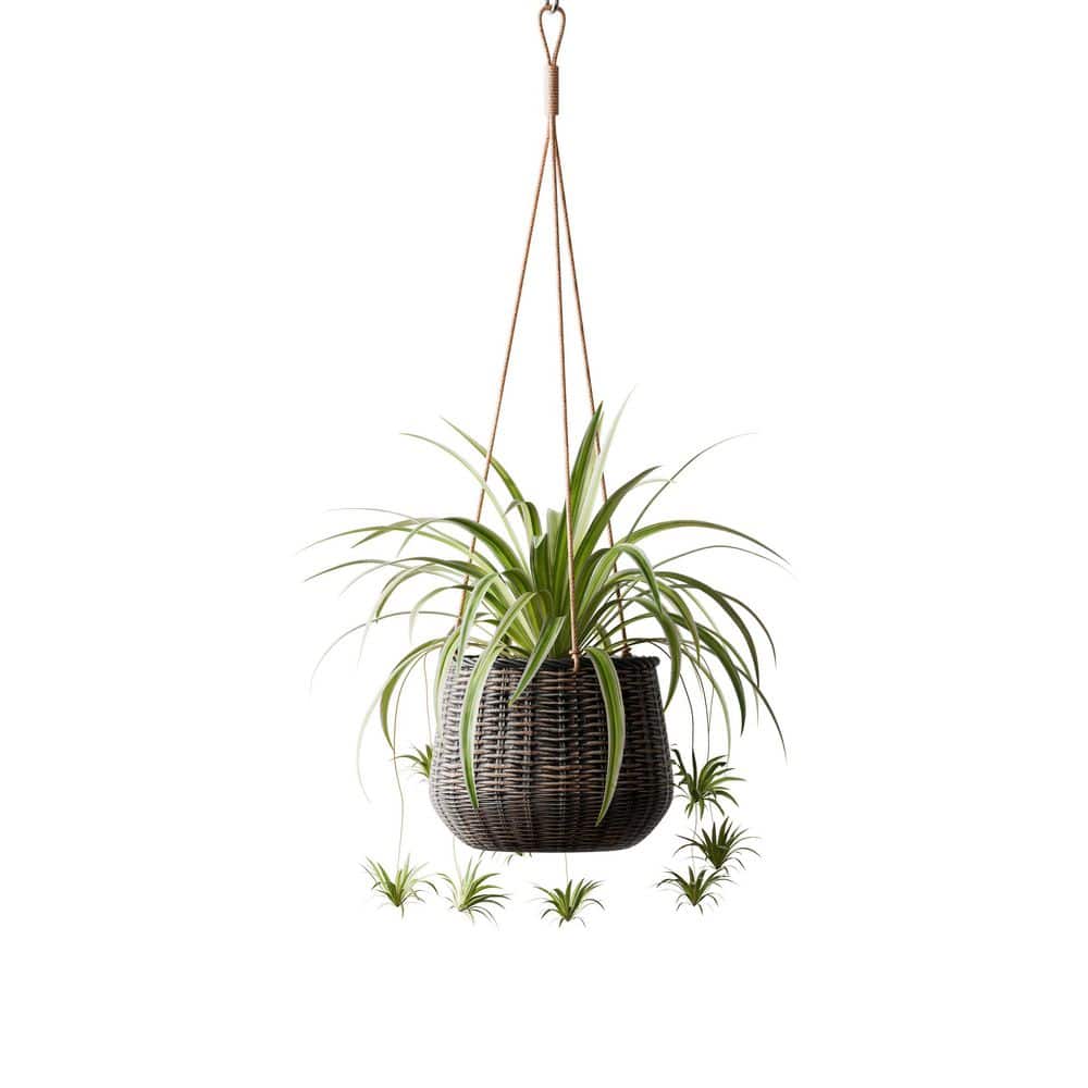 RGI Home 13 in. W Indoor Outdoor Brown Resin Rattan Hanging Basket ...
