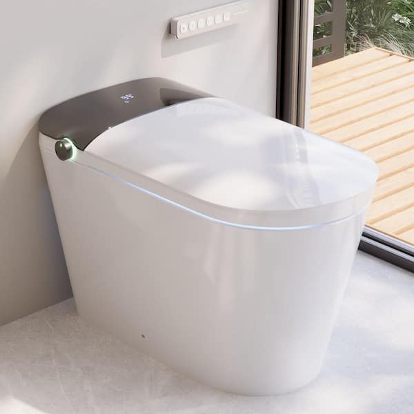 DEERVALLEY Tankless Elongated ADA Bidet Toilet 1.6 GPF in White with ...
