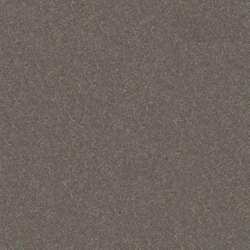 Home Decorators Collection 8 in. x 8 in. Texture Carpet Sample - House ...
