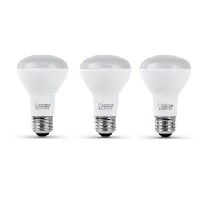 R20 - LED Light Bulbs - Light Bulbs - The Home Depot