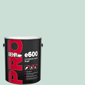 BEHR PRO 5 gal. #M430-2 Ice Rink Low Luster Exterior Paint PR62005 ...