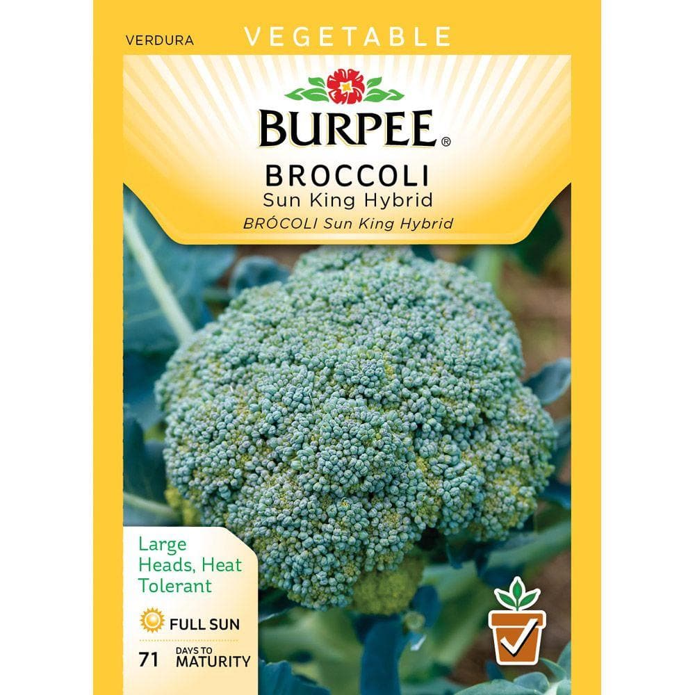 Burpee Broccoli Sun King Hybrid WP Seed 59750 - The Home Depot