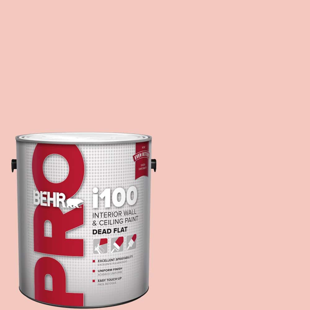 BEHR PRO 1 gal. #M170-2 Prairie Rose Dead Flat Interior Paint PR10501 ...