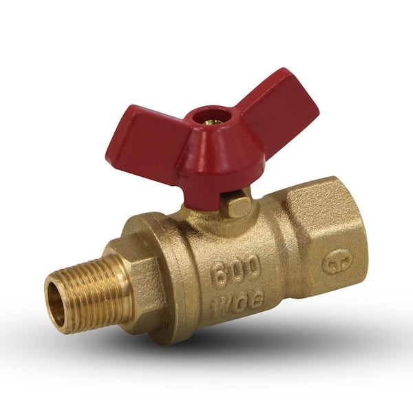 PLUMBFLEX 1/8 in. Lead Free Brass MIP and FIP Full Port Ball Valve with ...
