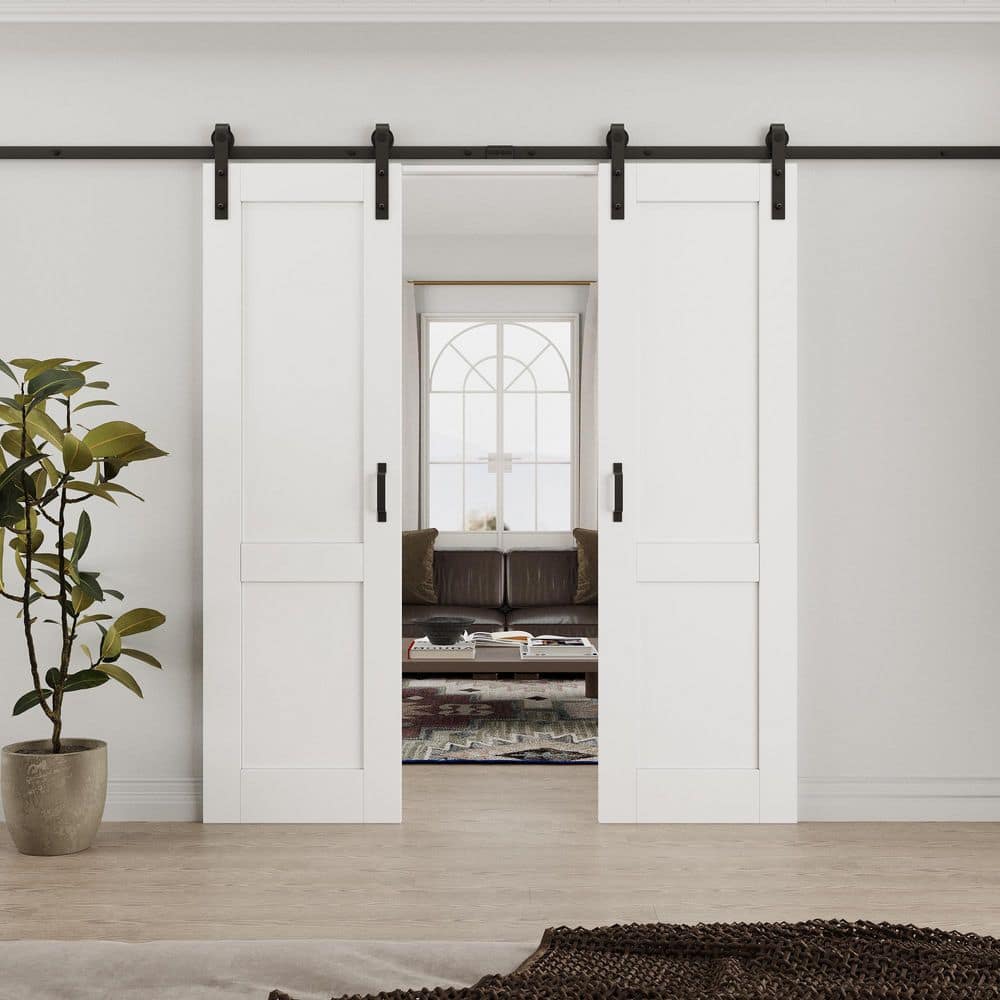 ARK DESIGN 48 in. x 80 in. (Two 24 in. Slabs) Paneled 2-Lite White ...