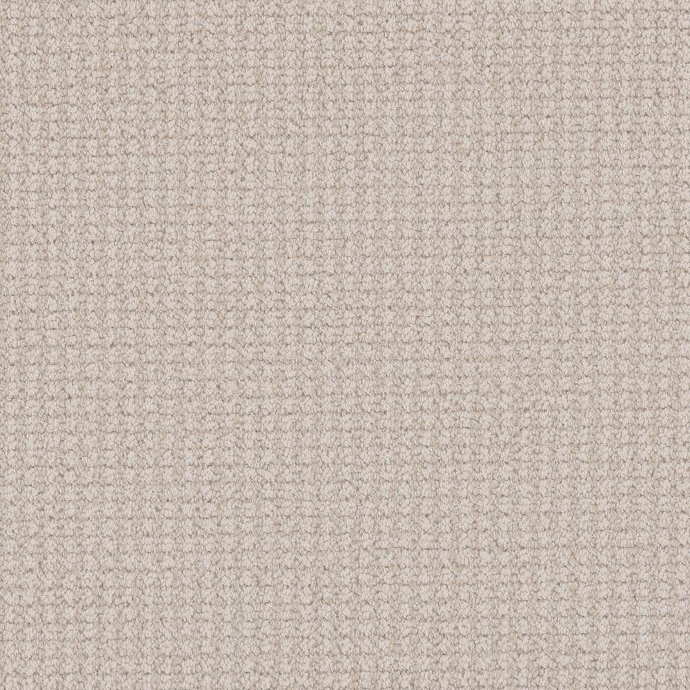 Home Decorators Collection 8 in. x 8 in. Pattern Carpet Sample - Shooting Star - Color Celeste ...