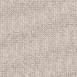 Home Decorators Collection 8 in. x 8 in. Pattern Carpet Sample ...