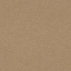 Wilsonart 4 ft. x 8 ft. Laminate Sheet in Tumbled Roca with Standard ...