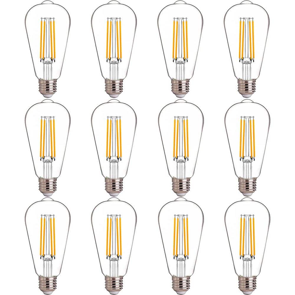 FLSNT 100-Watt Equivalent ST19, E26 Base, Soft White (2700K) Dimmable ...