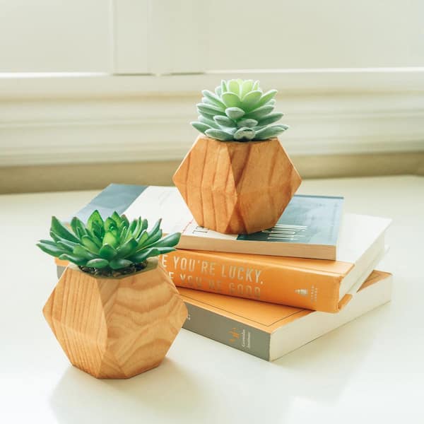Flora Bunda Artificial Set Of Faux Succulent In Wood Pot, 40% OFF