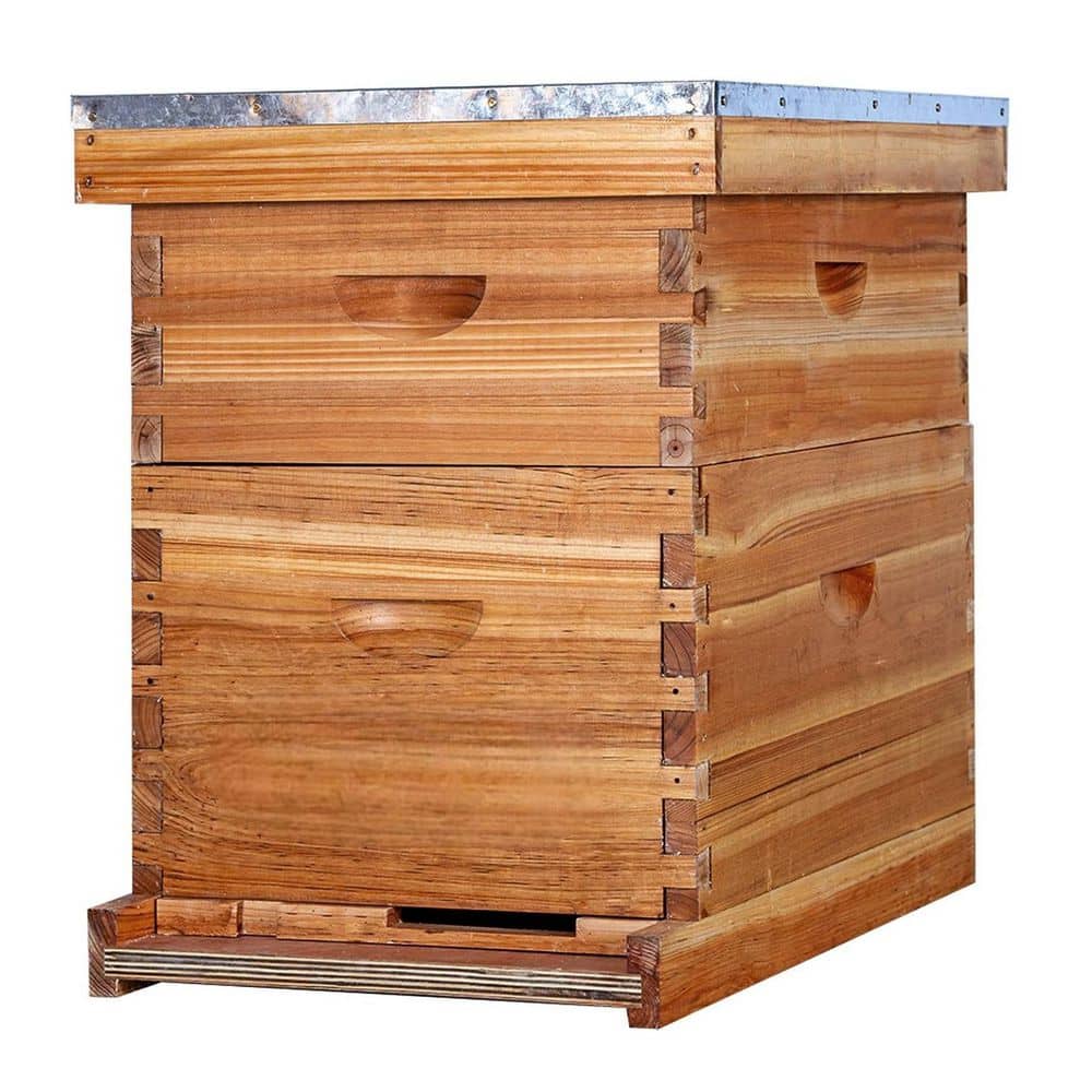 KIWDZFU 10-Frames Complete Beehive Kit Beeswax Coated Bee Hive Includes ...