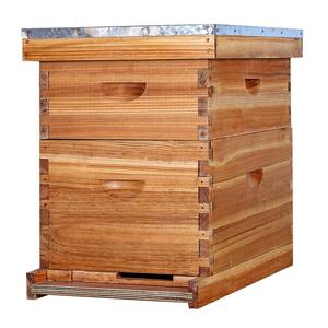 KIWDZFU Beehive Starter Kit 10-Frame Wax Coated Bee Hives and Supplies ...