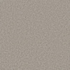 Home Decorators Collection 8 in. x 8 in. Texture Carpet Sample - Trendy ...