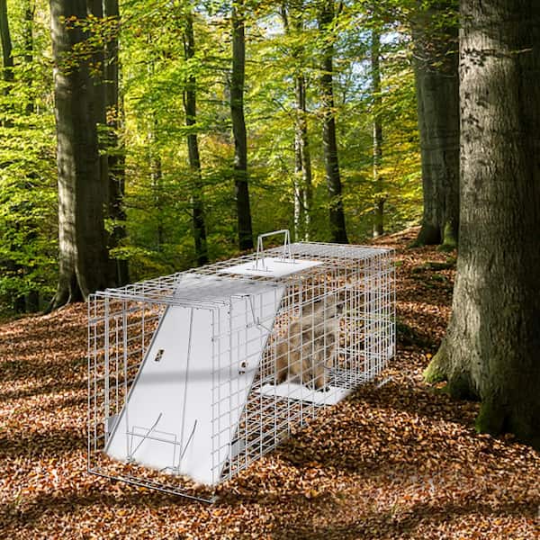 VEVOR Live Animal Cage Trap 31 in. x 10 in. x 12 in. Humane Cat Trap Galvanized Iron Folding Animal Trap with Handle YBL32YC00000TSR3RV0