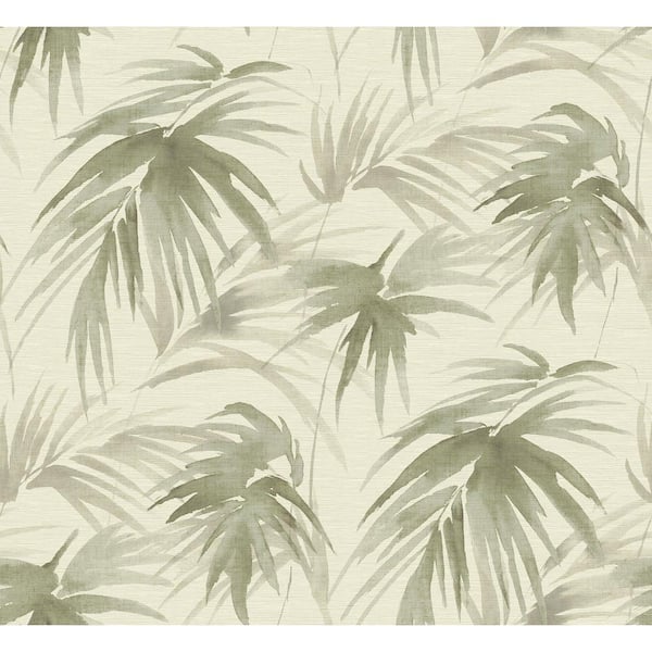 Scott Living Darlana Sage Grasscloth Sage Wallpaper Sample 2964 87412sam The Home Depot