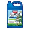 BIOADVANCED 1 Gal. Concentrated Tree and Shrub Insect Control Landscape ...