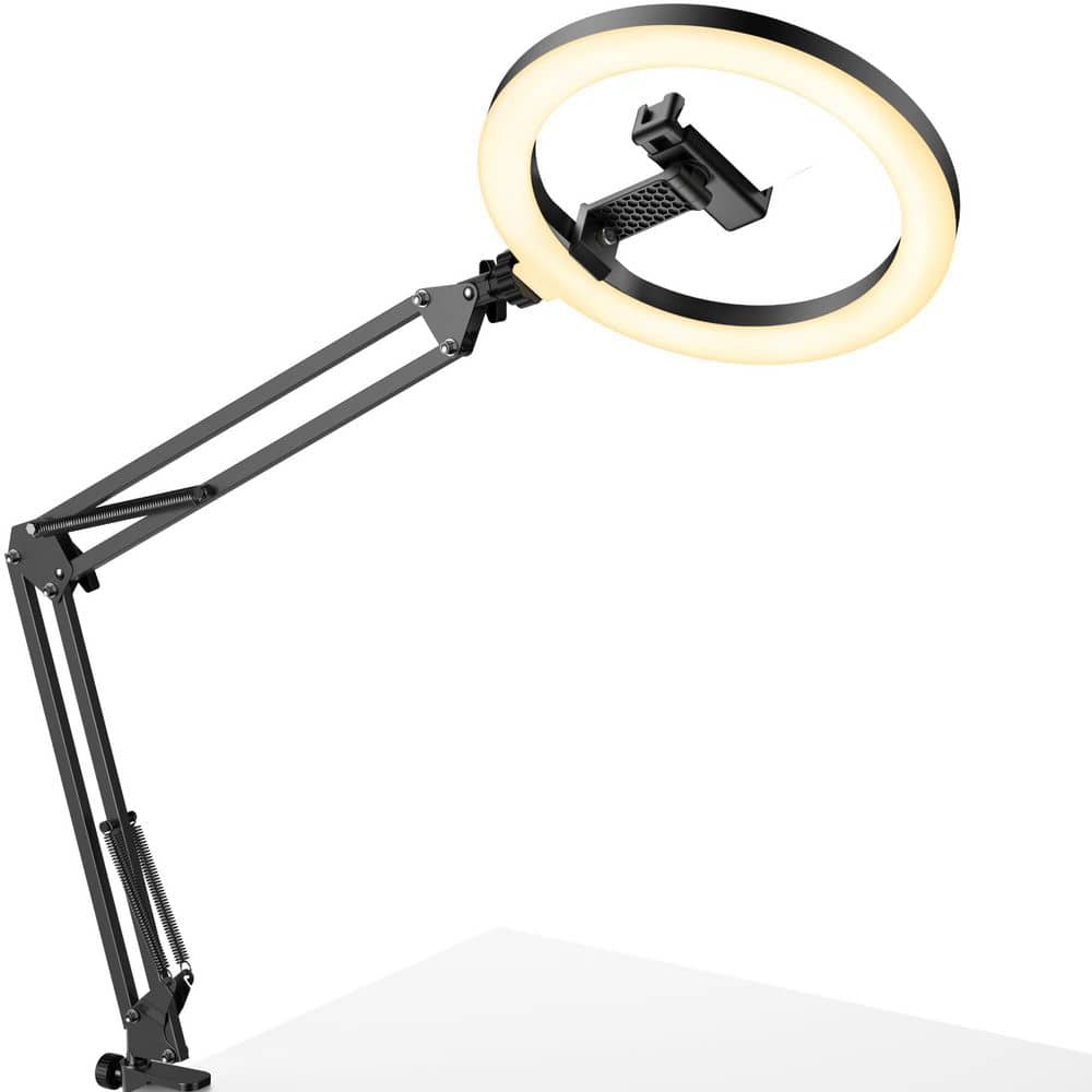 BIBIVIS Overhead Phone Mount with Ring Light, 10 in. LED Selfie Ring ...