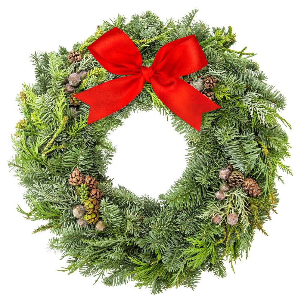 Online Orchards 22 in. Fresh Mixed Christmas Wreath with Bright Red Bow ...
