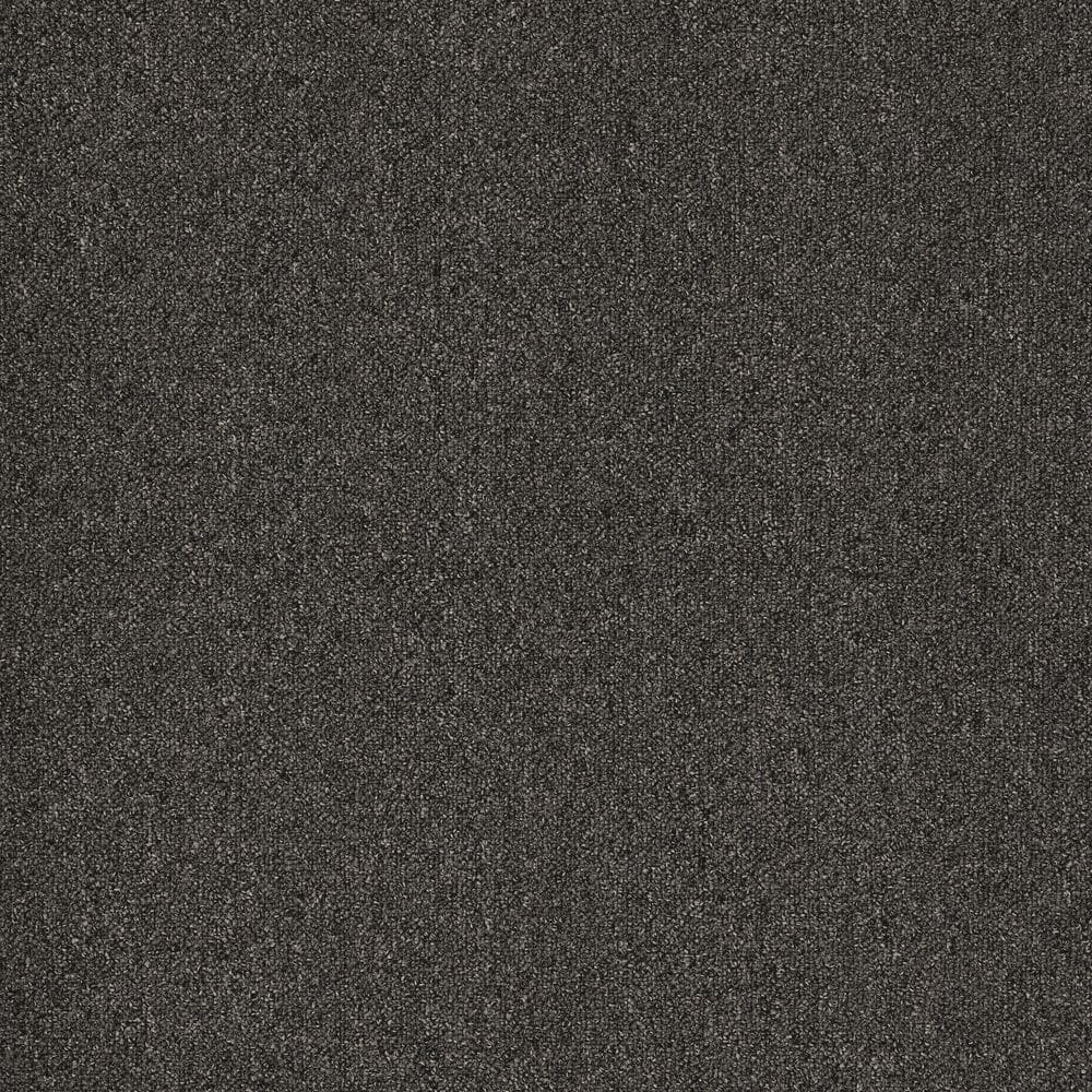 Mohawk 8 in. x 8 in. Level Loop Carpet Sample - Advance -Color - Black ...