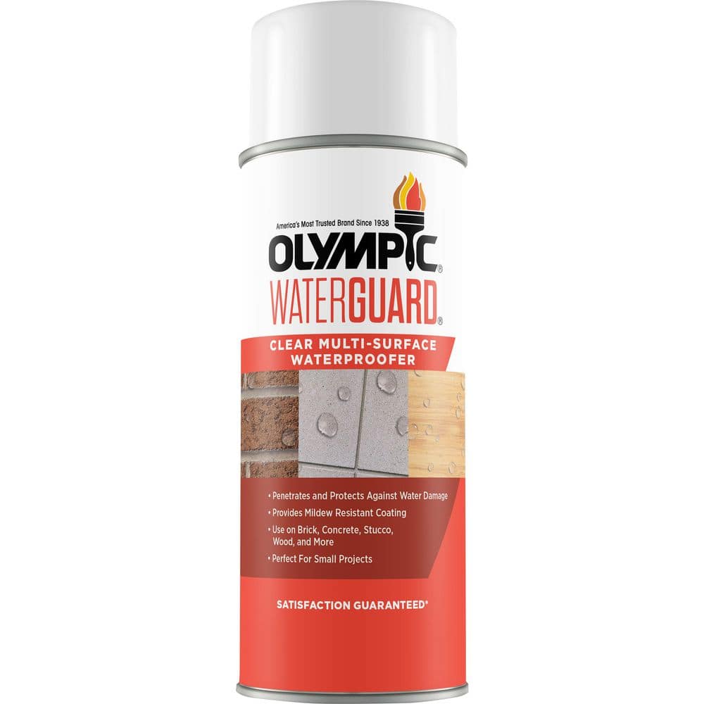 Olympic WaterGuard 11 oz. Clear Multisurface Exterior Waterproofing ...