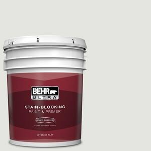BEHR PREMIUM PLUS 5 gal. #BL-W12 Canyon Wind Eggshell Enamel Low Odor ...