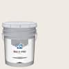 MULTI-PRO 5 gal. Linen Ruffle PPG1075-1 Flat Interior Paint PPG1075-1MP ...