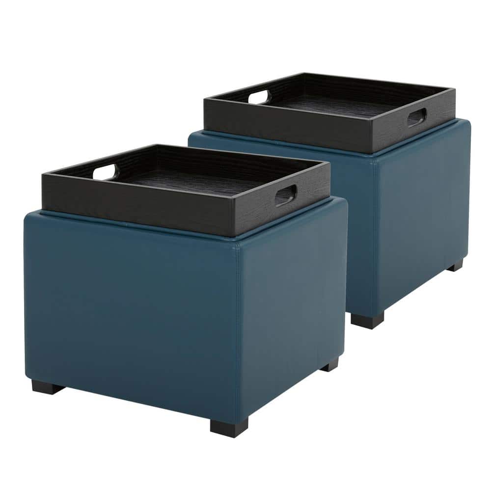 Spruce & Spring Riley 18 in. Wide Leather Contemporary Square Storage ...