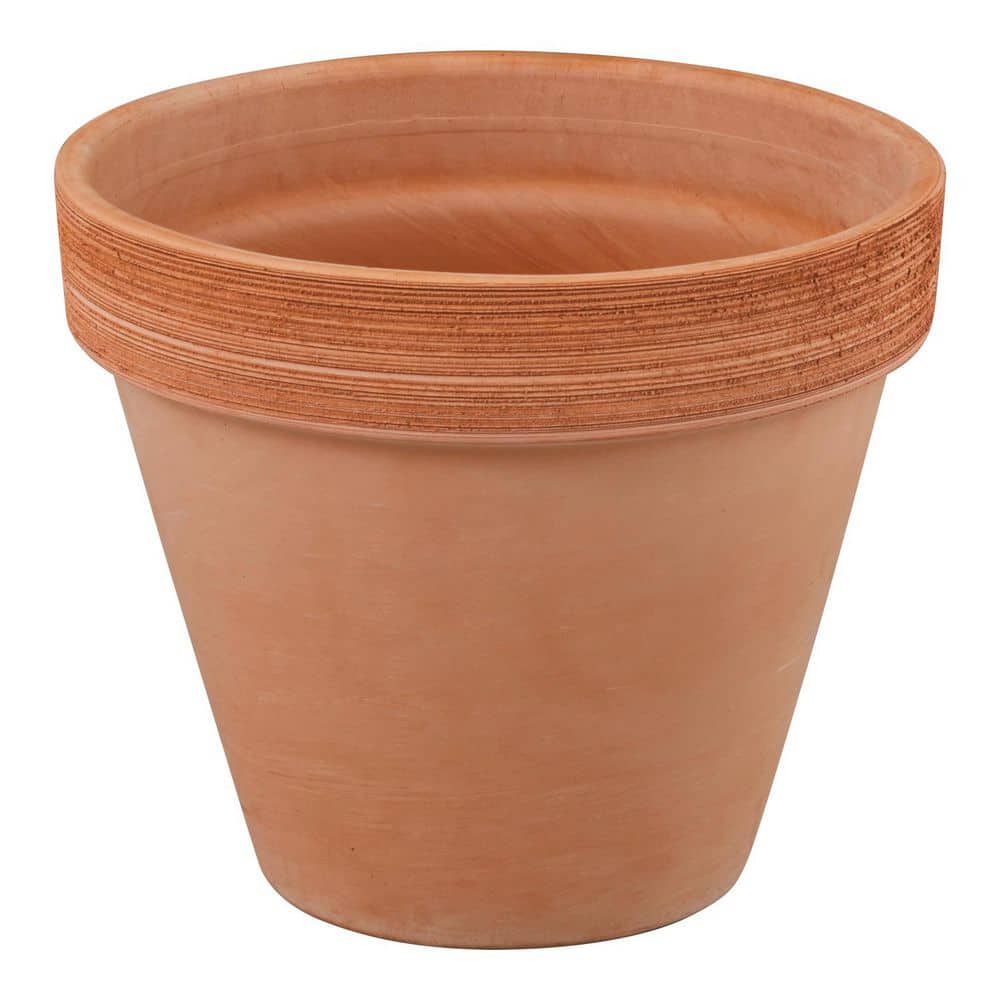 Vigoro Small Terracotta Textured Rim Planter with Drainage Hole (8 in ...