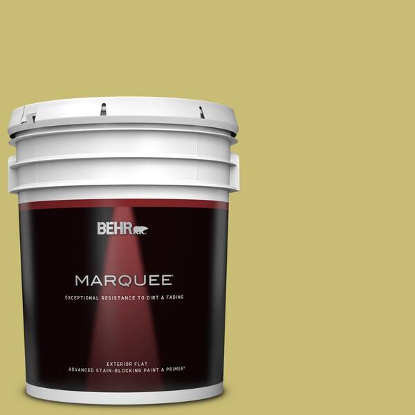 BEHR MARQUEE 5 gal. Home Decorators Collection #HDC-SP16-02 Pistachio ...