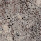 STONEMARK 3 in. x 3 in. Granite Countertop Sample in Mystic Spring P ...