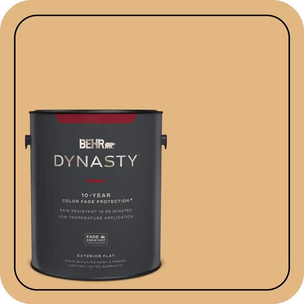 BEHR DYNASTY 1 gal. #M270-5 Beehive Flat Exterior Stain-Blocking Paint ...