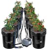 VIVOSUN 5 Gal. Black DWC Hydroponics Grow System Deep Water Culture Bucket with Recirculating ...