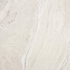 Apollo Tile Splendor Beige 23.62 in. x 23.62 in. Matte Porcelain Square ...