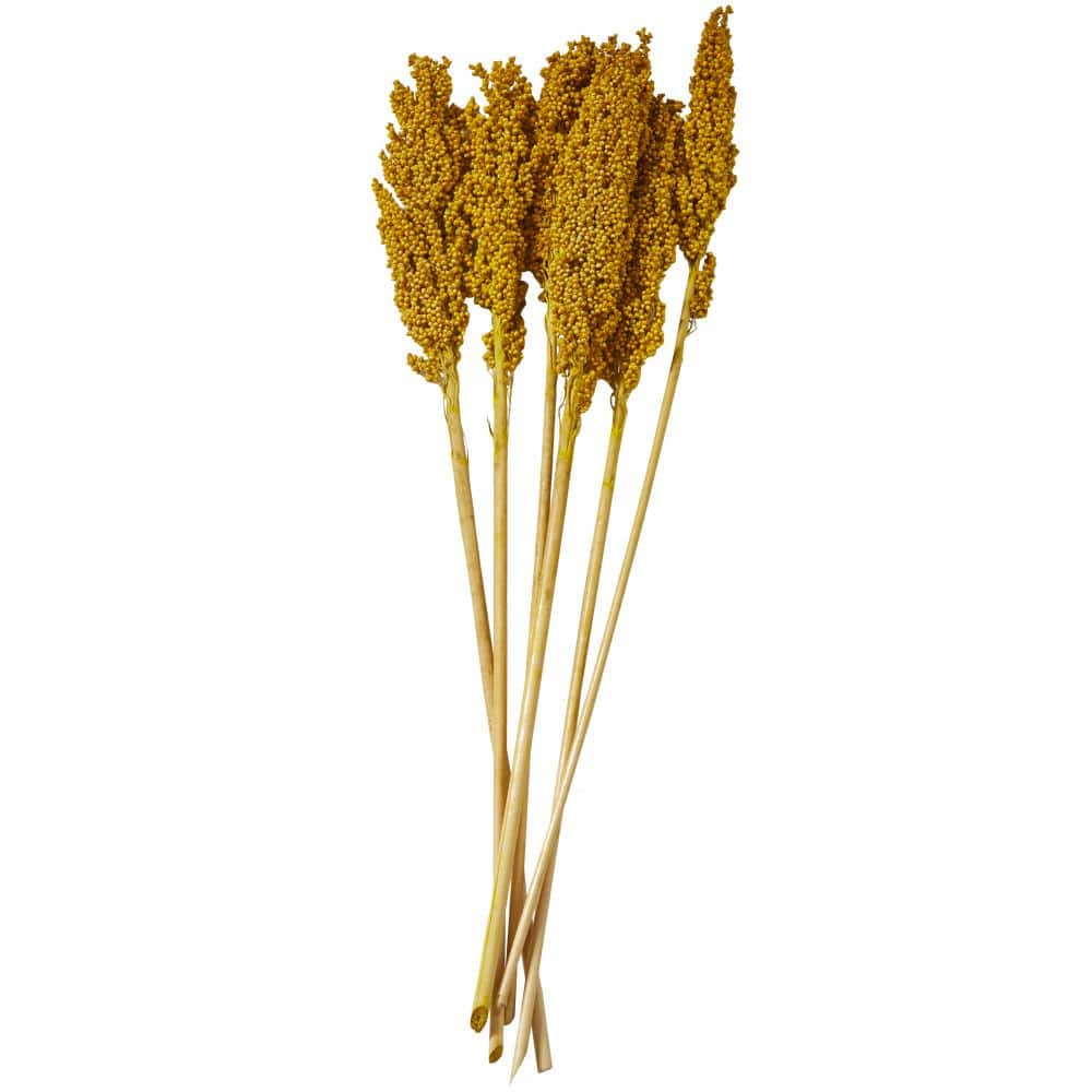 Litton Lane 30 in. Corn Maze Natural Foliage with Long Stems (1 Bundle ...