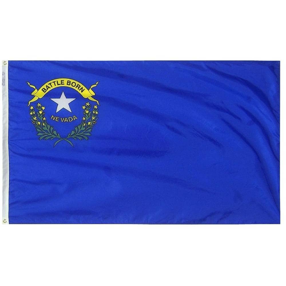 Annin Flagmakers 3 ft. x 5 ft. Nevada State Flag 143360 - The Home Depot