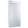 FINE FIXTURES 20 in. W x 40 in. H Recessed or Surface Wall Mount ...