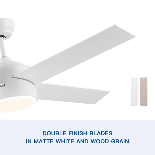 Clipsal Airflow Ceiling Fan With Light | Taraba Home Review
