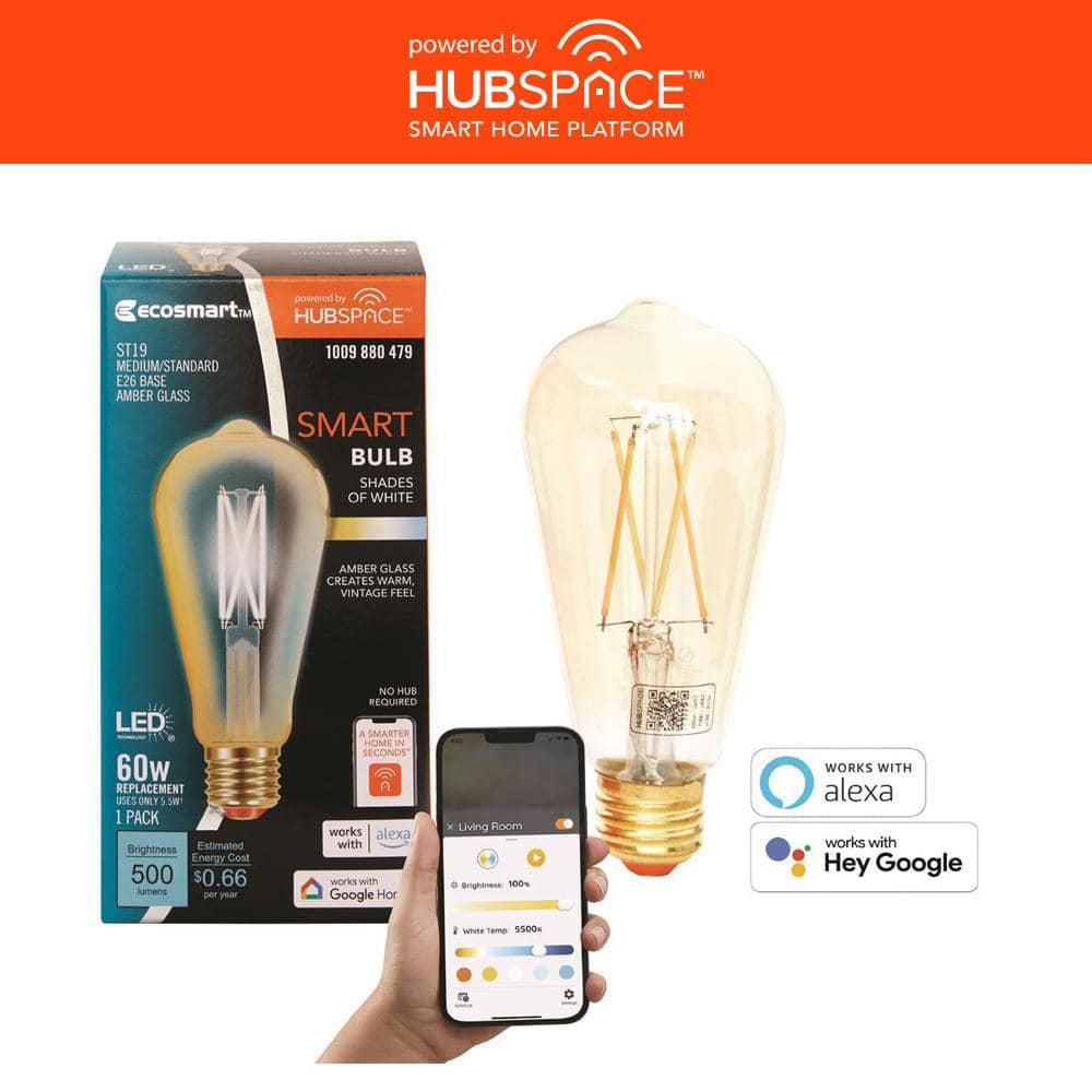 EcoSmart 60-Watt Equivalent Smart ST19 Amber Tunable White CEC LED ...