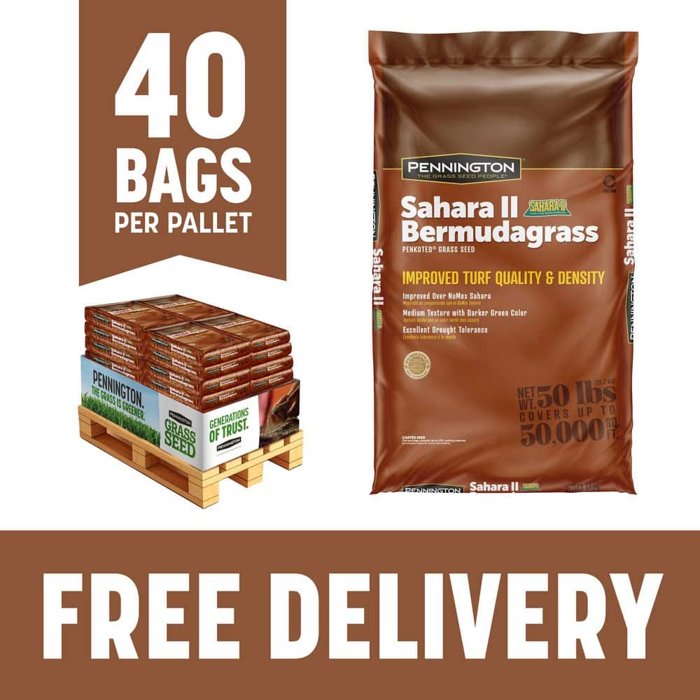 Pennington Sahara II Bermudagrass 50 lbs. 50,000 sq. ft. Full Sun Grass ...