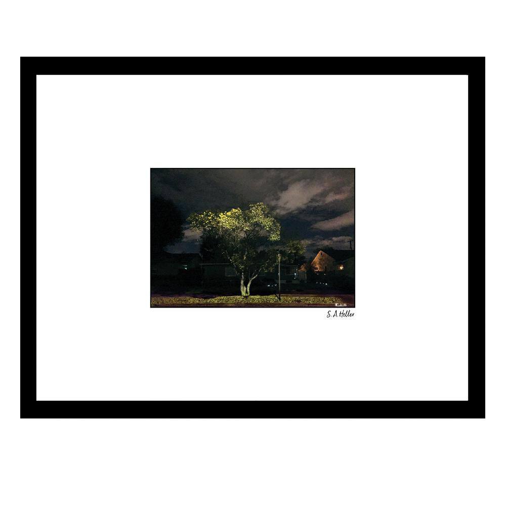NIGHT TREE by Steven A.Heller 1-Piece Framed Graphic Print Abstract ...