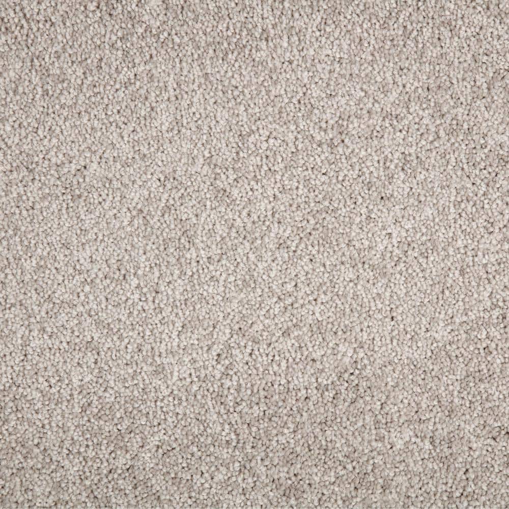 Home Decorators Collection 8 in. x 8 in. Texture Carpet Sample - Gemini ...