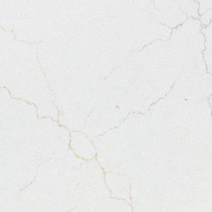 STONEMARK Quartz Countertop Sample in Altamonte MC-QZHD2X4Q4074 - The ...